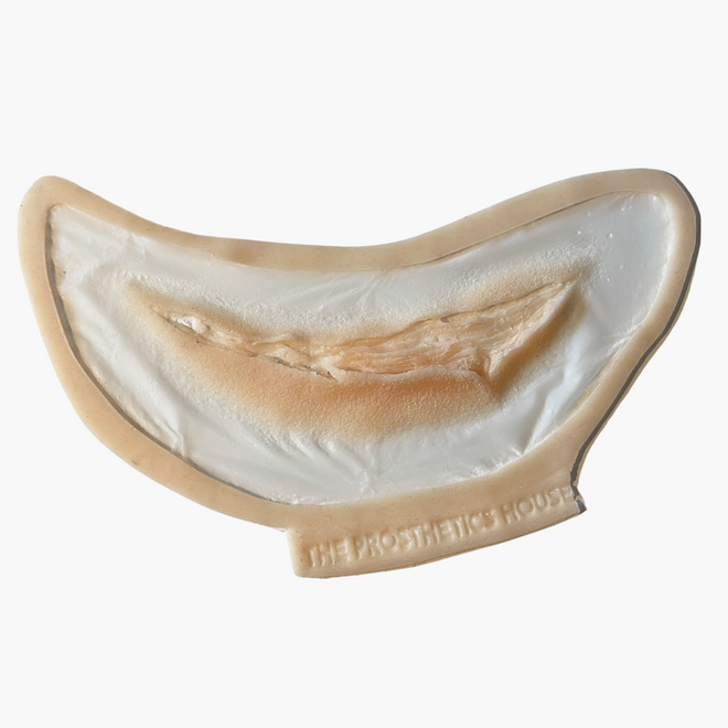 Full Collection of High Quality Silicone Prosthetics for SFX ...