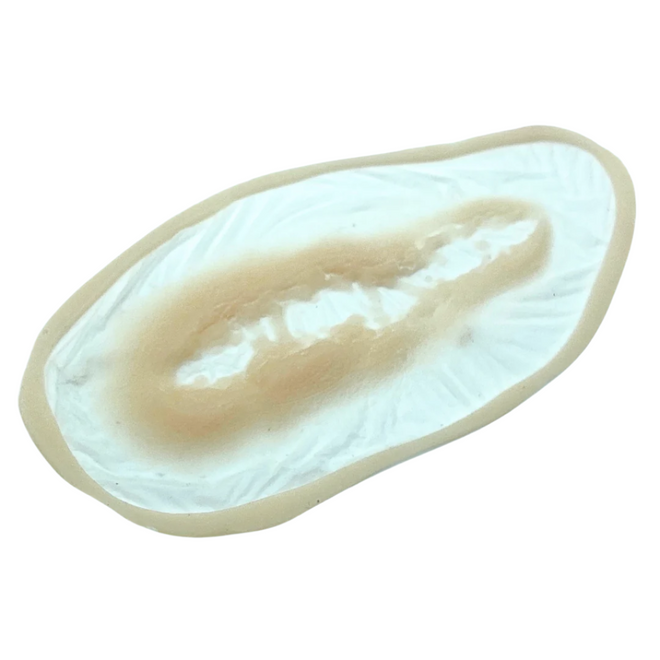 Silicone Prosthetics: Skin Wounds & Cuts – The Prosthetics House