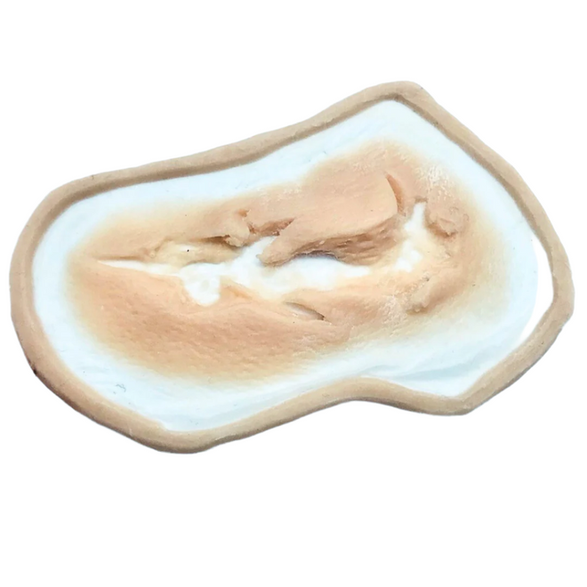 Silicone Prosthetics: Skin Wounds & Cuts – The Prosthetics House