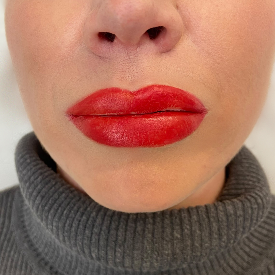 The Fuller Lips – The Prosthetics House