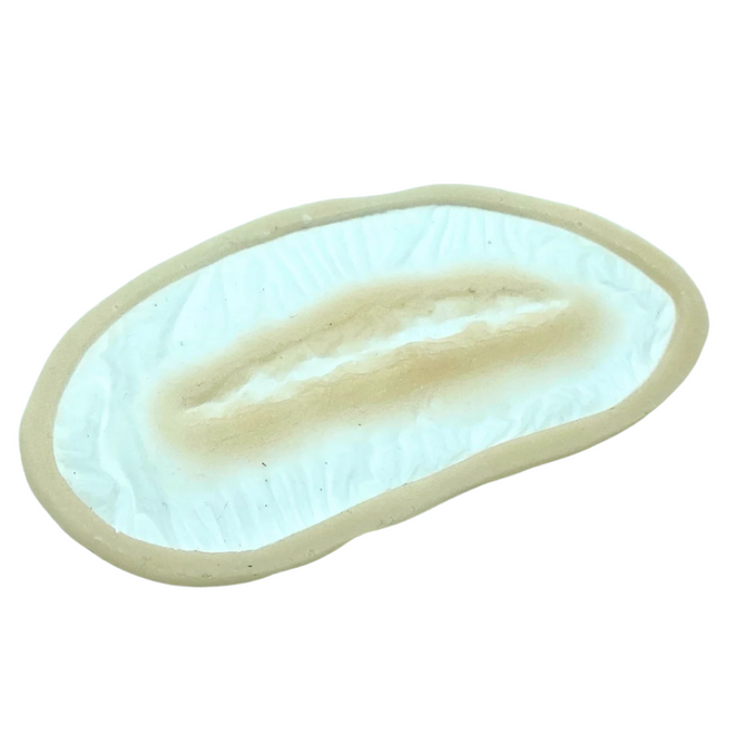 Full Collection of High Quality Silicone Prosthetics for SFX ...