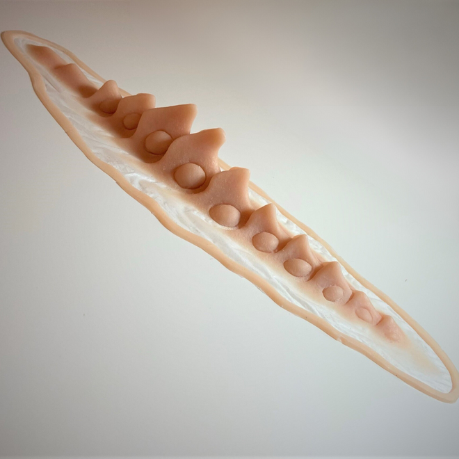 Full Collection of High Quality Silicone Prosthetics for SFX ...