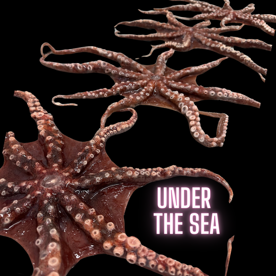 The XL Octopus | High Quality Silicone Prosthetic | Mermaid Cosplay ...
